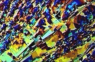 TNT (Trinitrotoluene) Videos | Nikon’s MicroscopyU