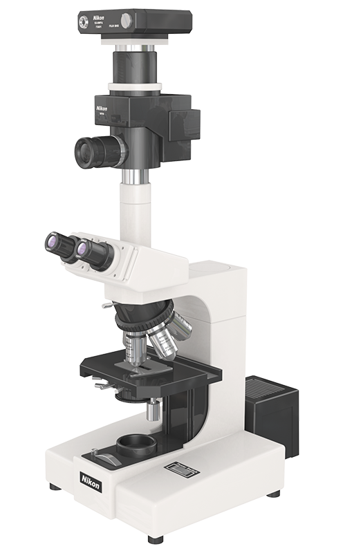 Biophot | Nikon’s MicroscopyU