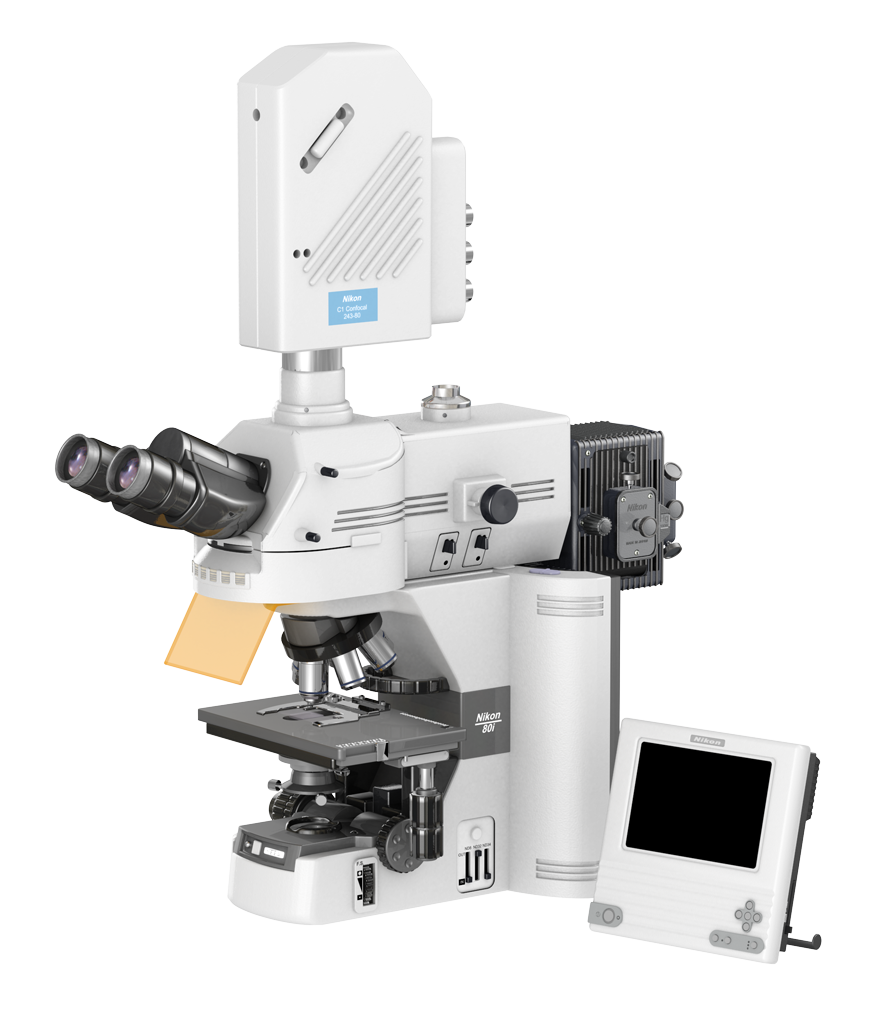 C1 Series Confocal | Nikon’s MicroscopyU