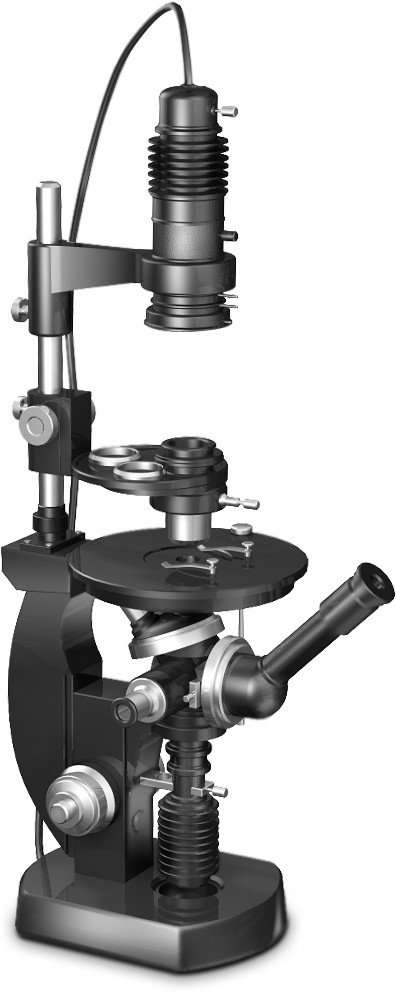 Model MS Inverted Microscope | Nikon’s MicroscopyU