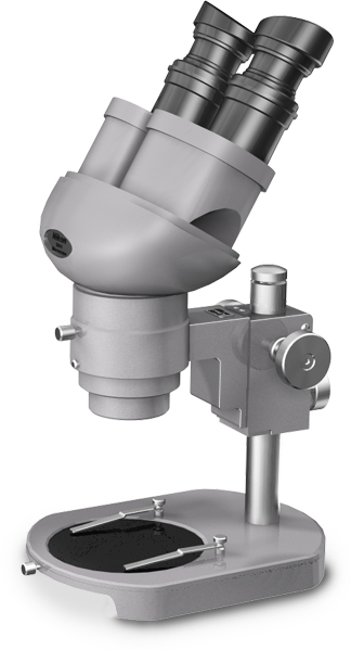 Stereoscopic Microscope Model SM-6 | Nikon’s MicroscopyU