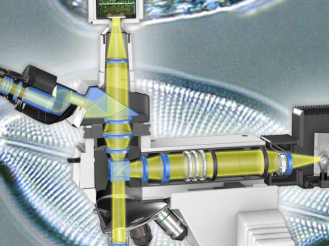 Microscopy Basics | Nikon’s MicroscopyU