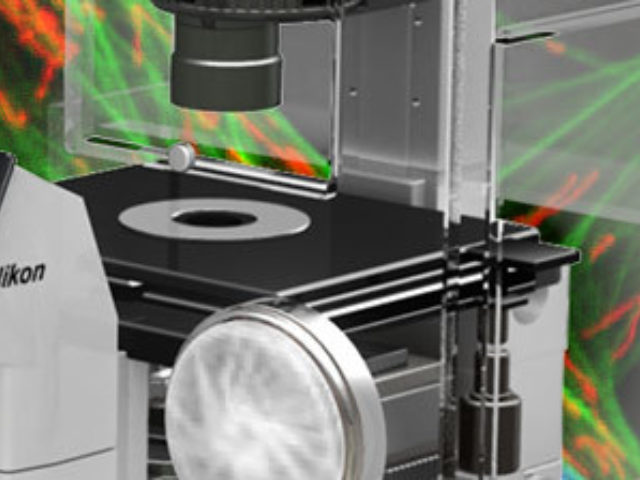 Live-Cell Imaging | Nikon’s MicroscopyU