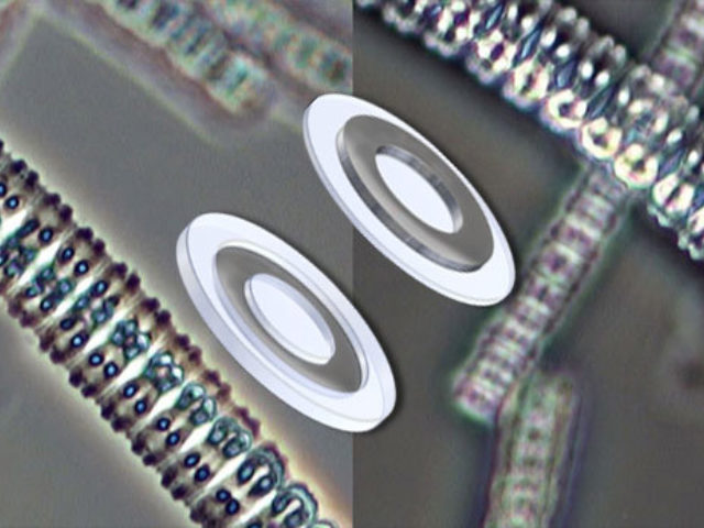 Phase Contrast | Nikon’s MicroscopyU