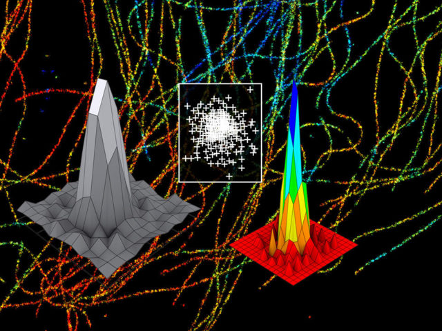 Super-Resolution | Nikon’s MicroscopyU Super-Resolution | Nikon’s MicroscopyU