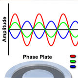 Phase Plate Configuration Effects on Specimen Contrast | Nikon’s ...