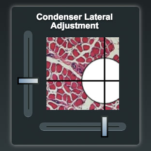 Microscope Alignment for Köhler Illumination | Nikon’s MicroscopyU