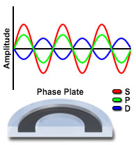Positive and Negative Phase Contrast | Nikon’s MicroscopyU