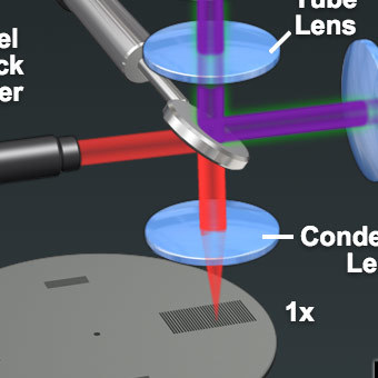 Resonant Scanning Confocal Microscope Zoom | Nikon’s MicroscopyU