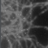 Super-Resolution Microscopy via Stochastic Individual Molecule Blinking ...