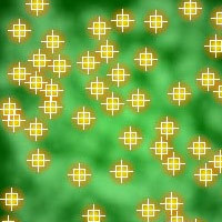 Stochastic Optical Reconstruction Microscopy (STORM) Imaging | Nikon’s ...